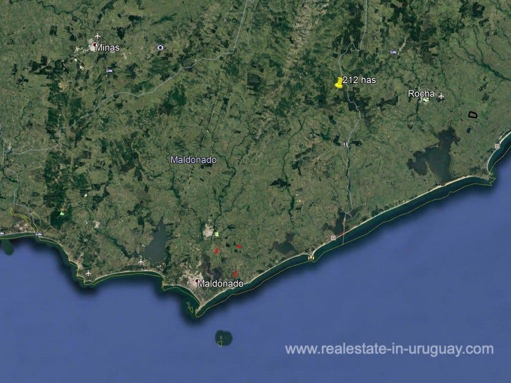 212 hectares in Garzon with olive trees in production - Real Estate in ...